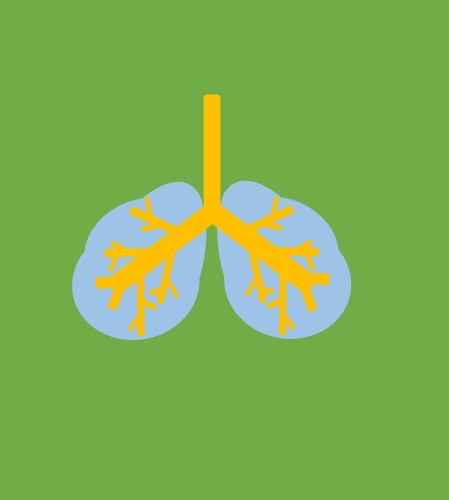 A Guide to COPD - Independent Mobility Guide